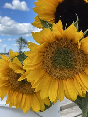 HY-HOPE FARM - Updated June 2025 - 49 Photos & 19 Reviews - 5450 Lake ...