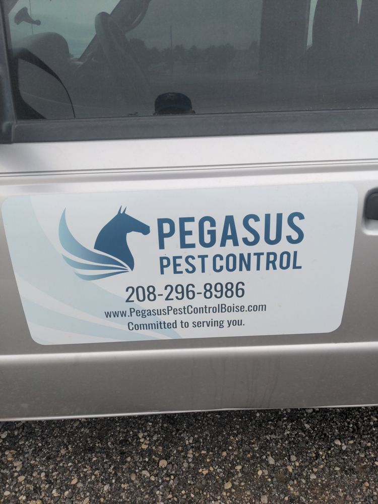 PEGASUS PEST CONTROL - Updated January 2026 - Boise City, Idaho - Pest ...