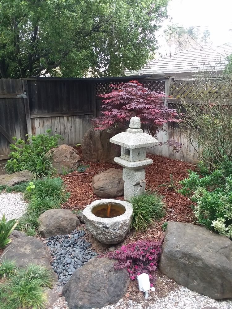 AMERICAN ARBOR TREE CARE PROFESSIONALS - Updated December 2024 - 21 ...