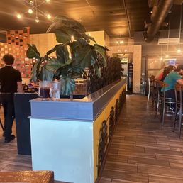 SABOR LATIN BAR & GRILL - Updated June 2025 - 342 Photos & 463 Reviews ...