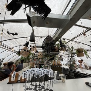 THE GREENHOUSE BAR - 220 Photos & 219 Reviews - 2211 Bandywood Dr ...