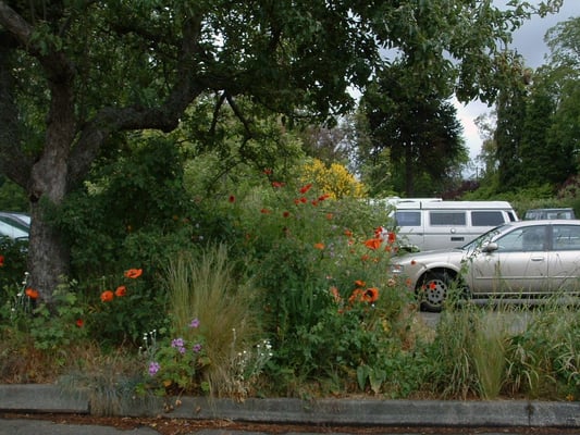 GOOD SHEPHERD CENTER - Updated November 2025 - 24 Photos - 4649 ...