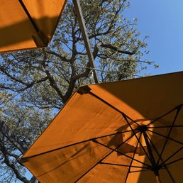 POSTINO ADDISON - Updated December 2025 - 703 Photos & 346 Reviews ...