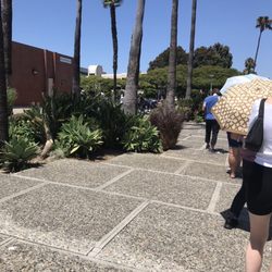 DEPARTMENT OF MOTOR VEHICLES DMV - SANTA MONICA - 101 Photos & 478 ...