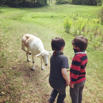 GOOD PICKIN’ FARM - Updated October 2025 - 26 Photos & 10 Reviews - 5 ...