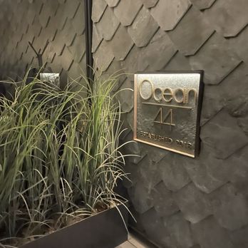 Ocean 44 - Trusted Since 2018 - Updated July 2025 - 1865 Photos - 1077 ...