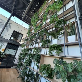 PROVISION - Updated April 2025 - 635 Photos & 207 Reviews - 711 E ...