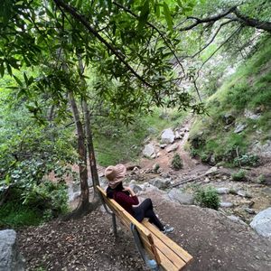 MT LOWE RAILWAY TRAIL - 109 Photos - Lake Ave & Loma Alta Dr, Altadena ...