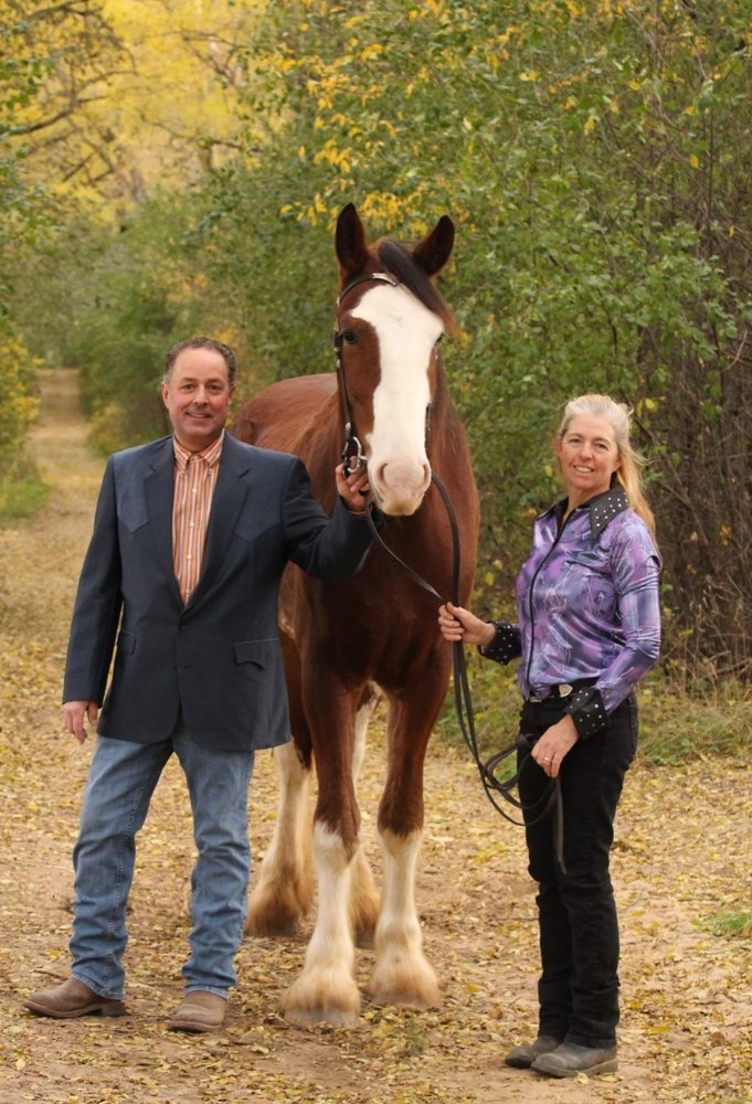 SUN FIRE STABLES - Updated October 2024 - 13 Photos - 33822 High Dr ...