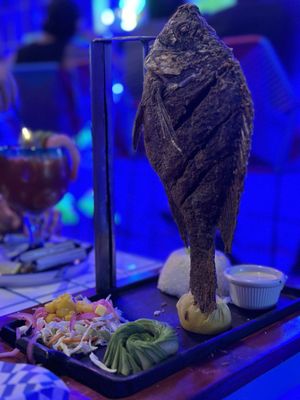 EL CEVICHERO CANTINA - Updated December 2025 - 147 Photos & 61 Reviews ...