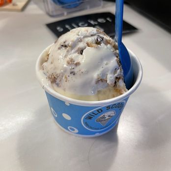 WILD SCOOPS - Updated September 2024 - 229 Photos & 164 Reviews - 530 E ...