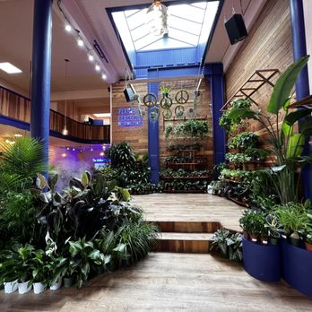 THE MELLOW SF - Updated January 2025 - 109 Photos & 50 Reviews - 1401 ...