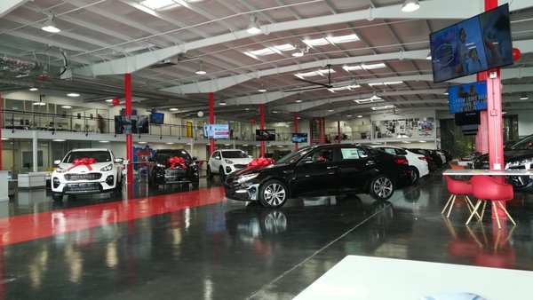 KALIDY KIA - Updated October 2024 - 23 Photos & 119 Reviews - 14205 ...