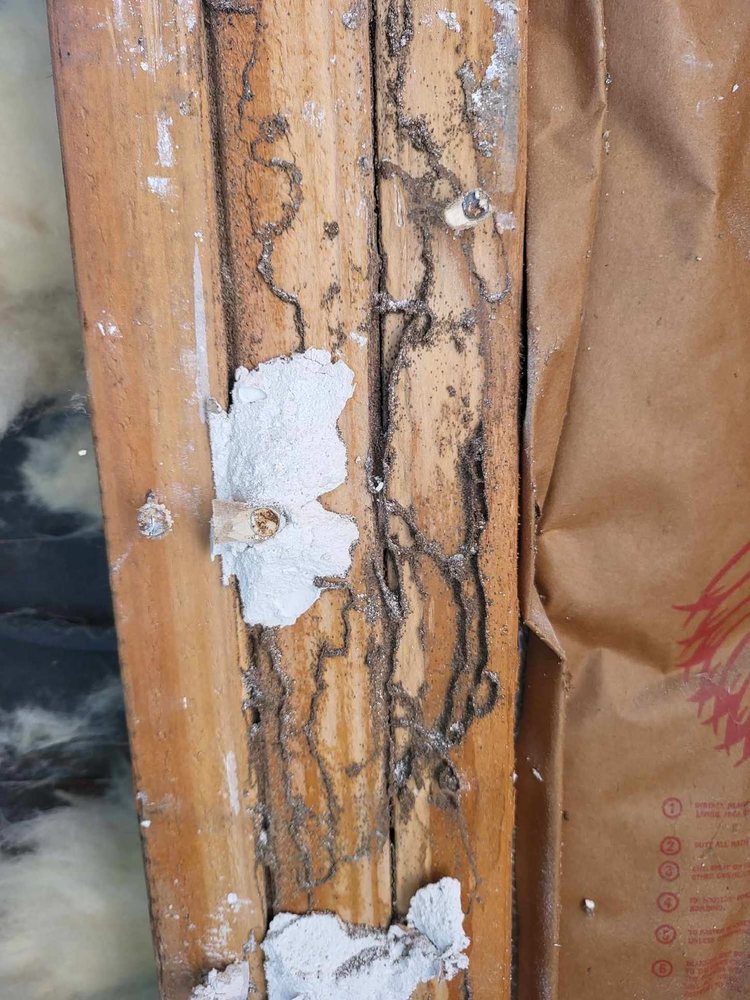 WOODLAND-DAVIS TERMITE & PEST CONTROL - Updated December 2025 - 17 ...