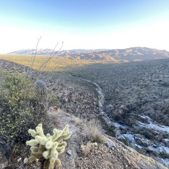 DOUGLAS SPRINGS TRAILHEAD - SAGUARO NATIONAL PARK - Updated October ...