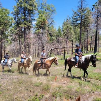 R-RANCH IN THE SEQUOIAS - Updated December 2025 - 73 Photos & 29 ...