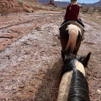 MOAB HORSES - Updated July 2025 - 54 Photos & 28 Reviews - Moab, Utah ...