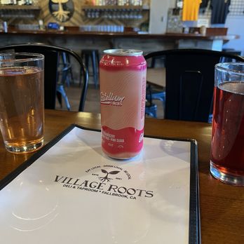 VILLAGE ROOTS DELI & TAPROOM - Updated December 2025 - 133 Photos & 98 ...
