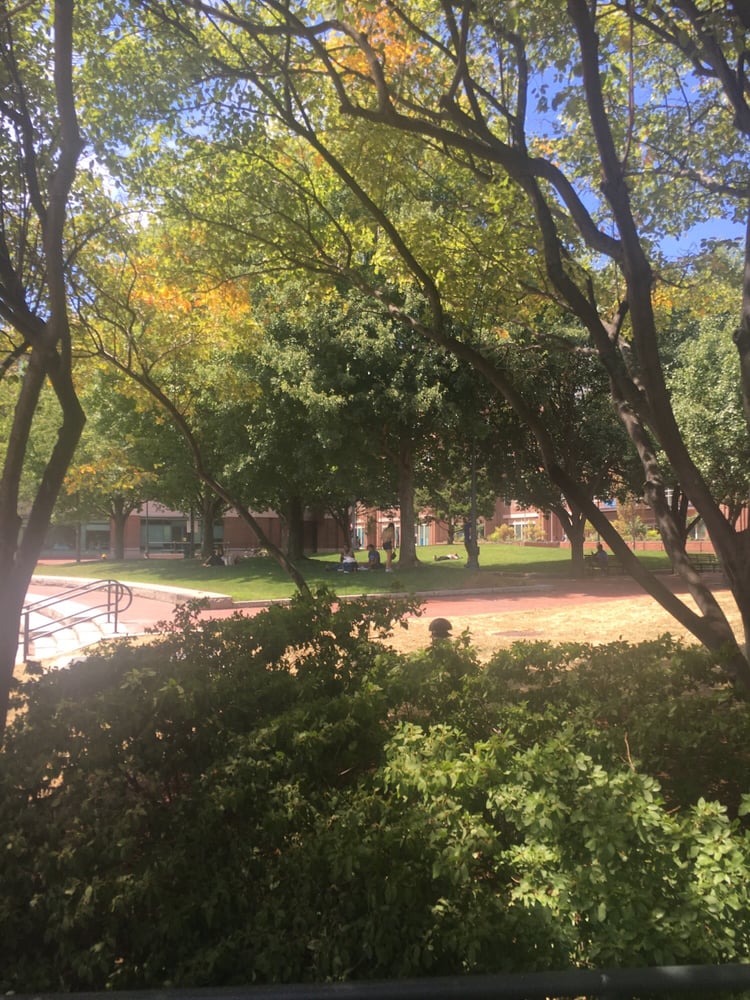 LECHMERE CANAL PARK - Updated December 2024 - Cambridge, Massachusetts ...