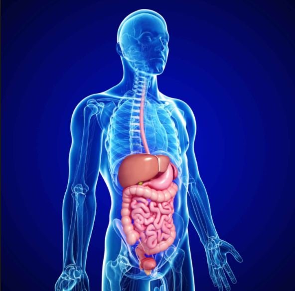 MARWAN ISKANDARANI, MD - Updated October 2025 - 65 NW 168th St, North ...