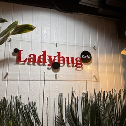 LADYBUG CAFÉ - Updated December 2025 - 864 Photos & 468 Reviews - 15926 ...