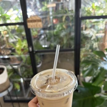 DANDY LION COFFEE - Updated June 2024 - 204 Photos & 104 Reviews - 5225 ...