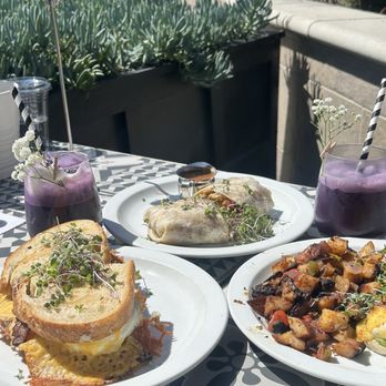 SOCIETY KITCHEN - Updated December 2024 - 1130 Photos & 869 Reviews ...