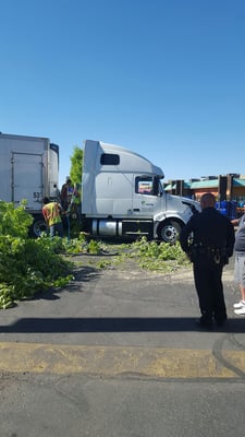 ROBERTS TREE SERVICE - Updated October 2025 - 25 Photos & 42 Reviews ...