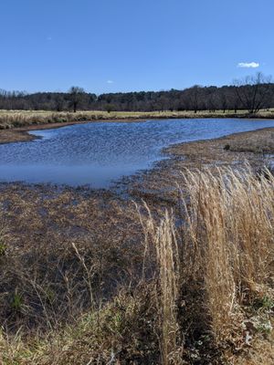 BROWNS MILL GOLF COURSE - 121 Photos & 16 Reviews - 480 Cleveland ...