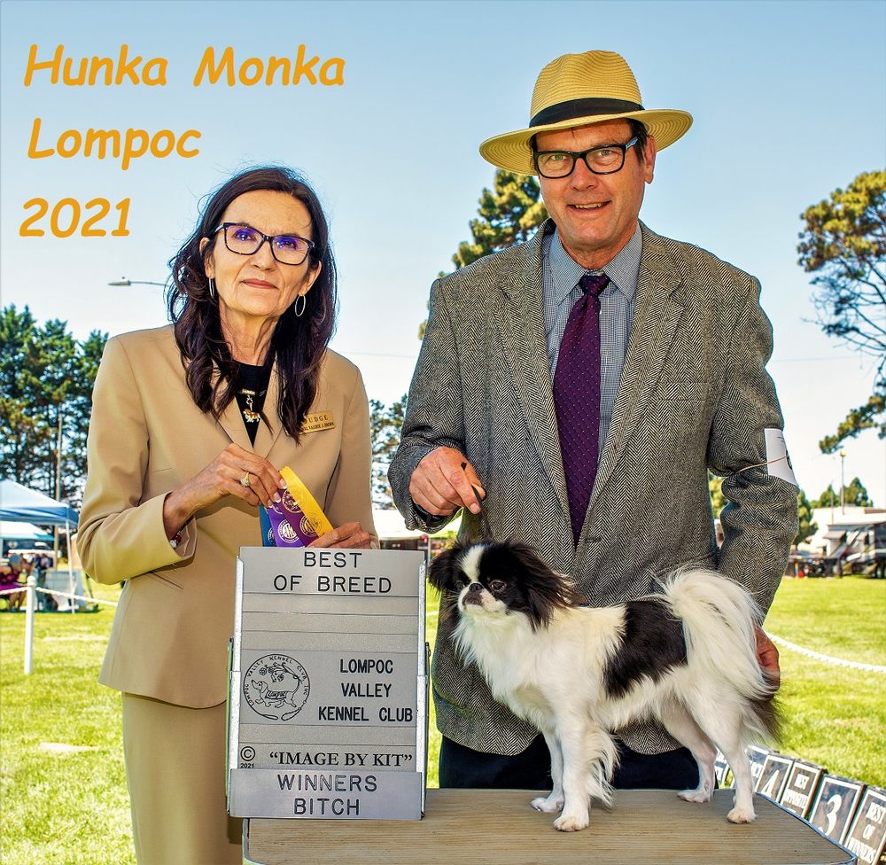 SLO DOGS - Updated August 2025 - Request Information - 23 Photos ...