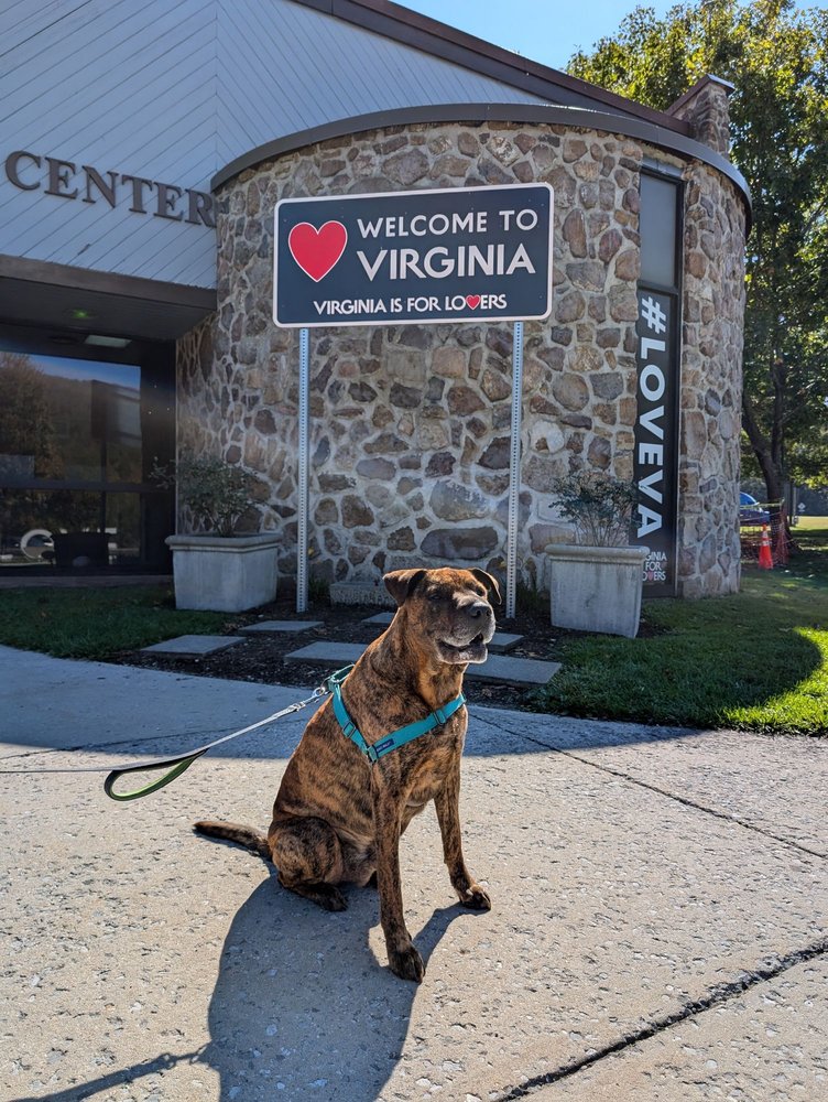 ROCKY GAP REST AREA - Updated September 2025 - 39 Photos & 10 Reviews ...