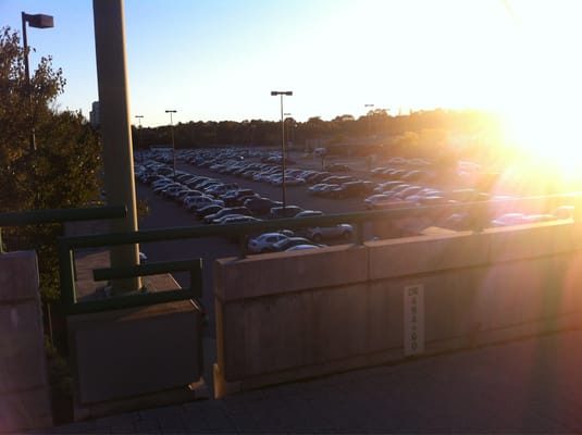 GREEN LINE D LINE- RIVERSIDE T STATION - Updated October 2025 - 12 ...