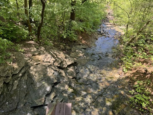 SAUNDERS SPRINGS NATURE PRESERVE - Updated August 2024 - 136 Photos ...