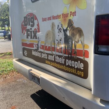 POI DOGS AND POPOKI - Updated December 2025 - 60 Photos & 59 Reviews ...