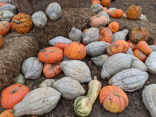 THREE CEDARS FARM - Updated September 2024 - 354 Photos & 132 Reviews ...