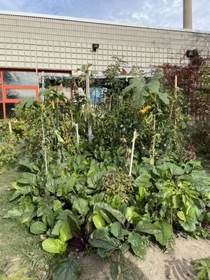 SCADDING COURT COMMUNITY CENTRE - Updated December 2025 - 34 Photos ...