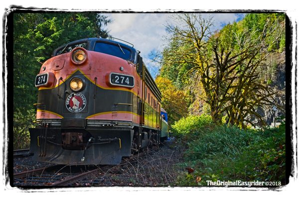 OREGON COAST SCENIC RAILROAD - 41 Photos & 42 Reviews - Tours - 306 ...