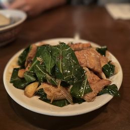 ASTORIA DC - Updated January 2026 - 1088 Photos & 599 Reviews - 1521 ...