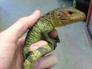 PETS-A-PLENTY - Updated November 2025 - 60 Photos & 38 Reviews - 23933 ...