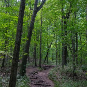 BRIGHTON STATE RECREATION AREA - Updated June 2025 - 30 Photos & 24 ...