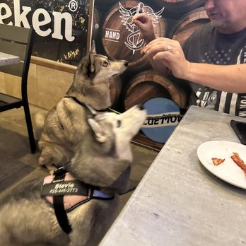 LONGSHOTS BAR & GRILL - Updated August 2024 - 175 Photos & 78 Reviews ...