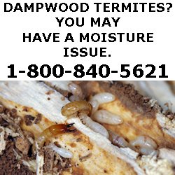 TERMITE BIZ - Updated August 2025 - 36 Photos & 403 Reviews - Morgan ...