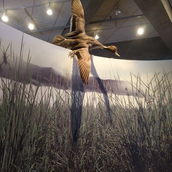 PETER AND MARY MUTH INTERPRETIVE CENTER - Updated December 2025 - 91 ...