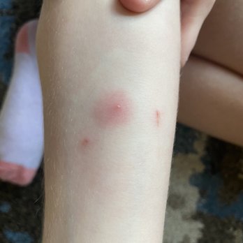 WINDKIST EQUESTRIAN CENTRE - Updated January 2026 - 15 Reviews - 125 ...