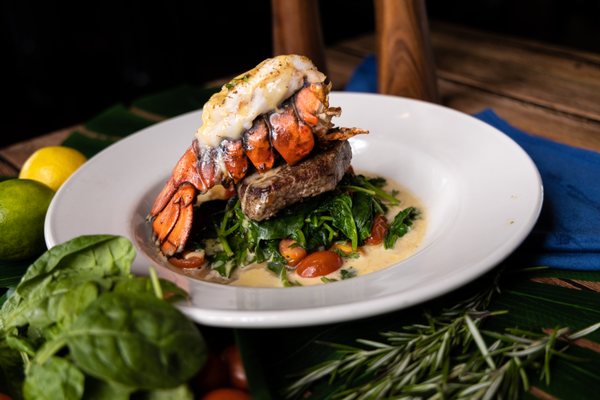 OCTOPUS KITCHEN - 337 Photos & 188 Reviews - 1551 Piedmont Ave NE ...