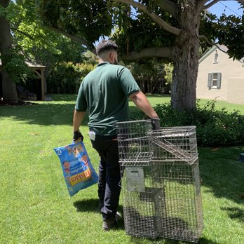 ANIMAL CAPTURE WILDLIFE CONTROL - 197 Photos & 117 Reviews - 645 9th St ...