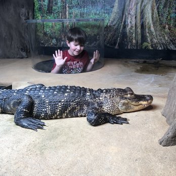 SNAKE DISCOVERY A REPTILE EXPERIENCE - Updated October 2025 - 44 Photos ...