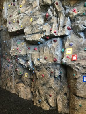LIFETIME CLIMB - Updated May 2026 - 10 Photos - 28141 Diehl Rd ...