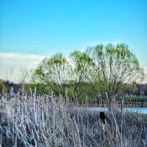 SIMPLOT SPORTS COMPLEX - Updated October 2025 - 2401 E Lake Forest Dr ...