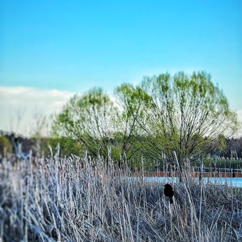 ESTHER SIMPLOT PARK - Updated August 2025 - 80 Photos & 15 Reviews ...